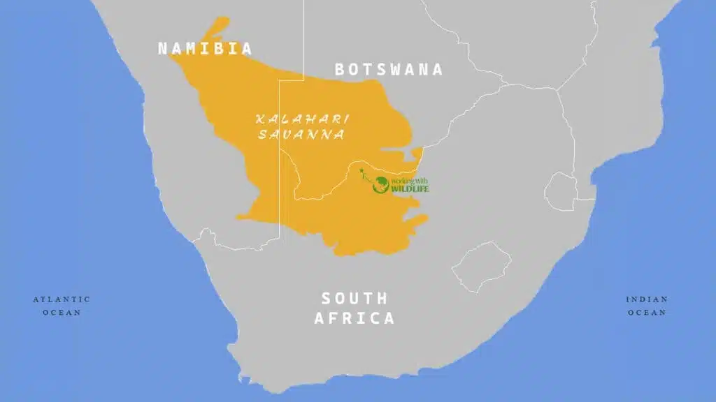 Kalahari Map Namibia Desert & Dune Safari Adventure: Kalahari Desert